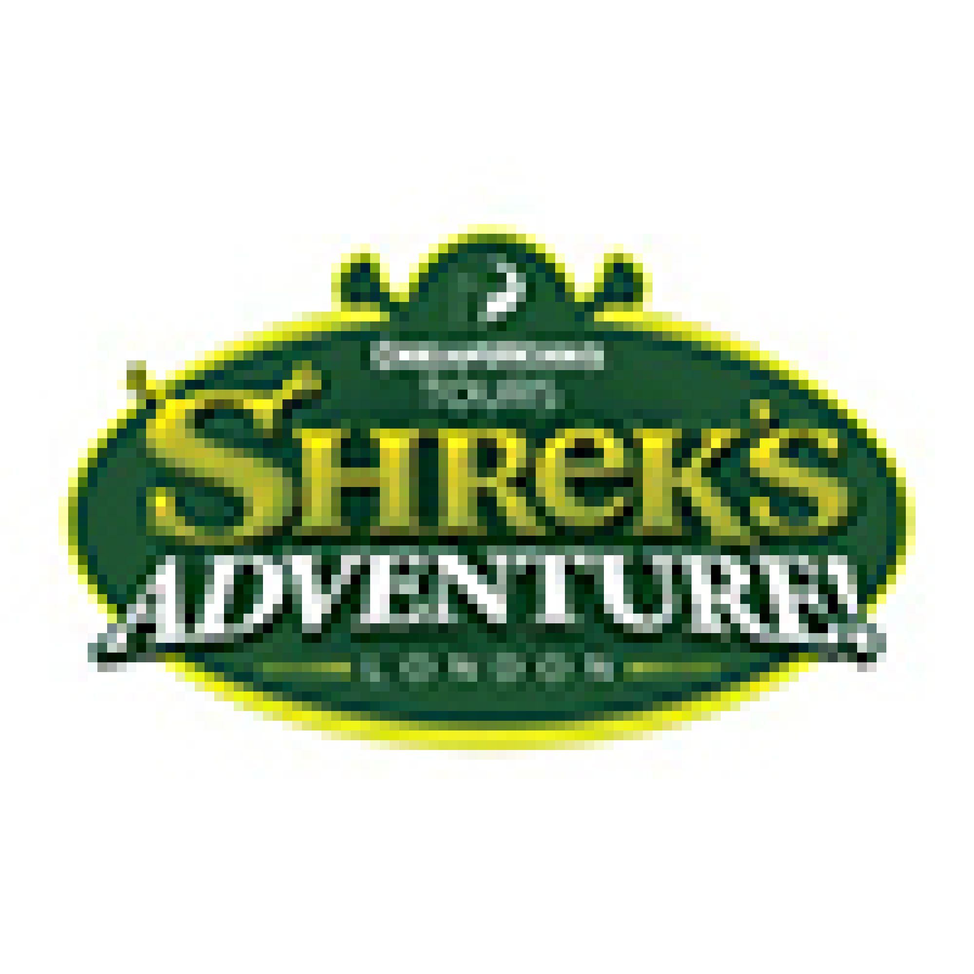 Shrek's Adventure!