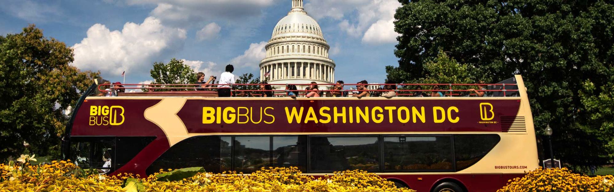 Discover Ticket | Washington DC | Big Bus Tours