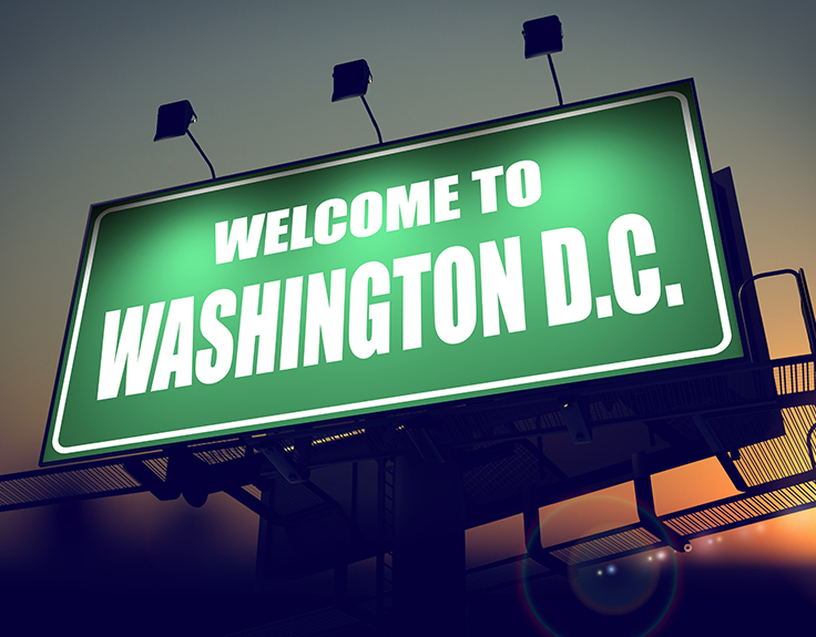 Things To Do In Washington DC | DC Sights | Big Bus Tours