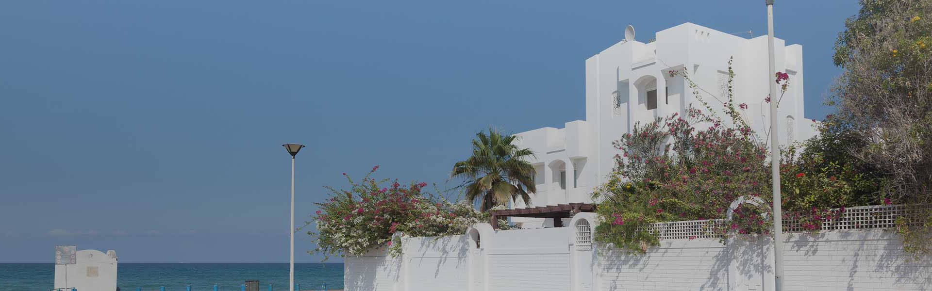Al Shatti | Top Muscat Attractions | Big Bus Tours