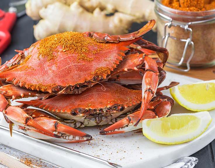 Best Restaurants in Darwin | Big Bus Tours