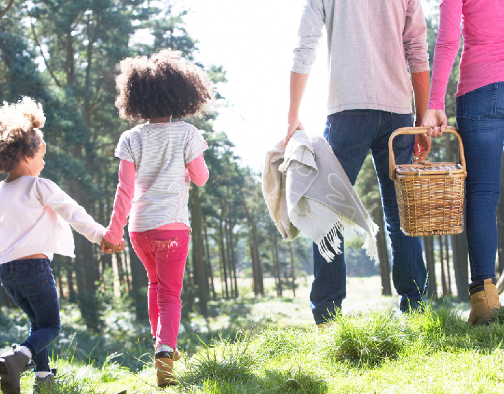 Summer In Dublin | Things To In Summer | Big Bus Tours