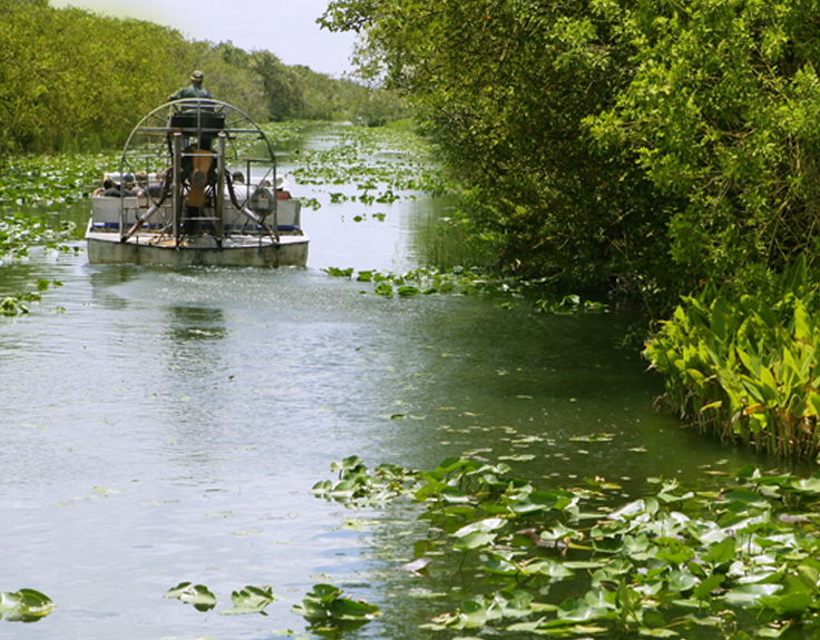Everglades | Miami Attractions | Big Bus Tours