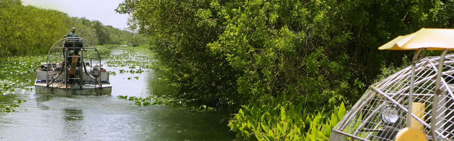Everglades | Atracciones de Miami | Big Bus Tours