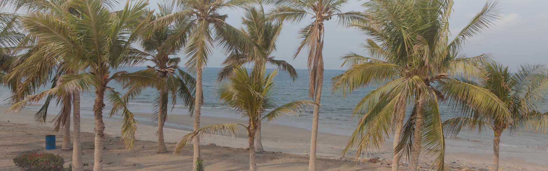 Qurum Beach | Attractions in Muscat | Big Bus Tours