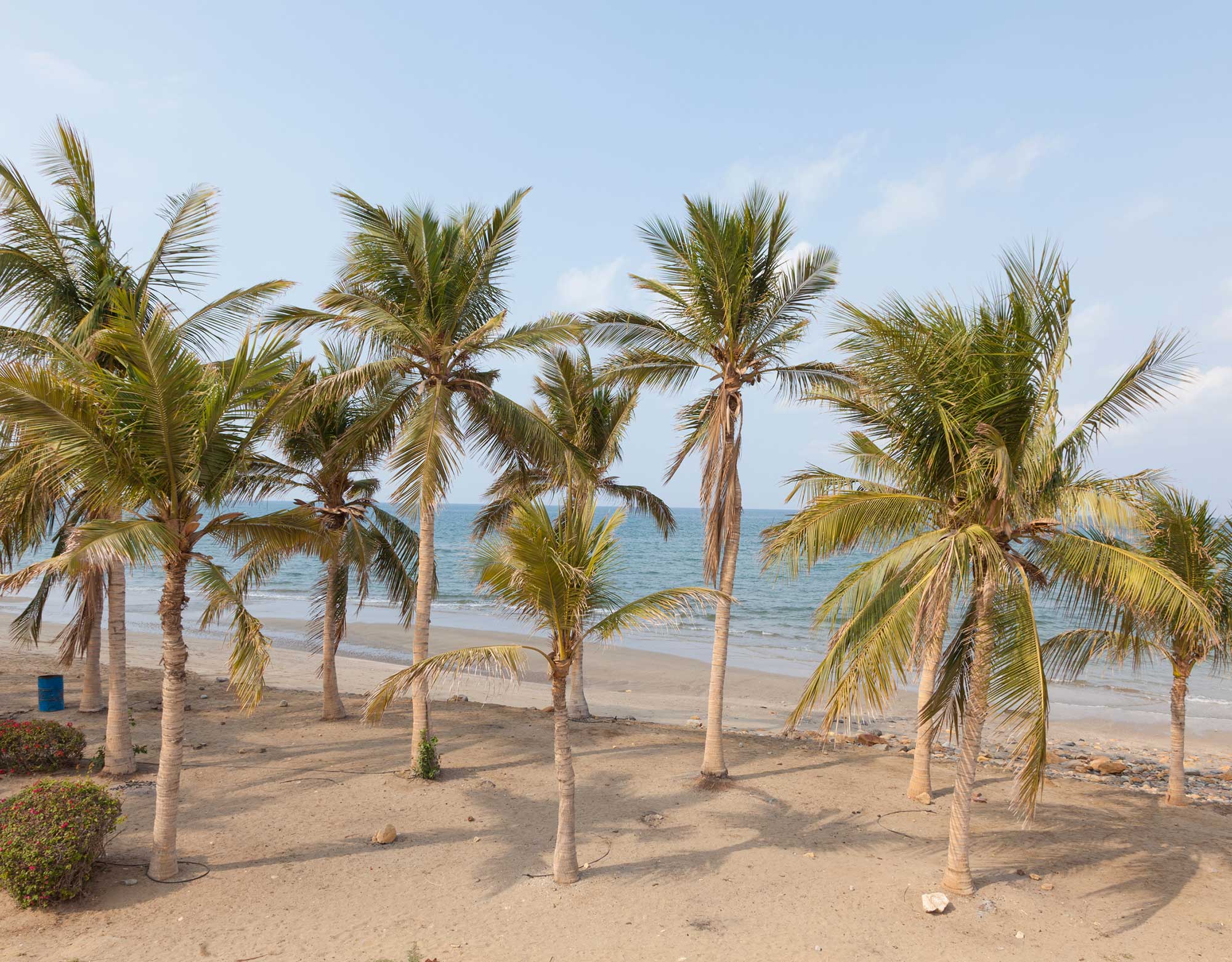 Ruwi | Muscat Attractions | Big Bus Tours