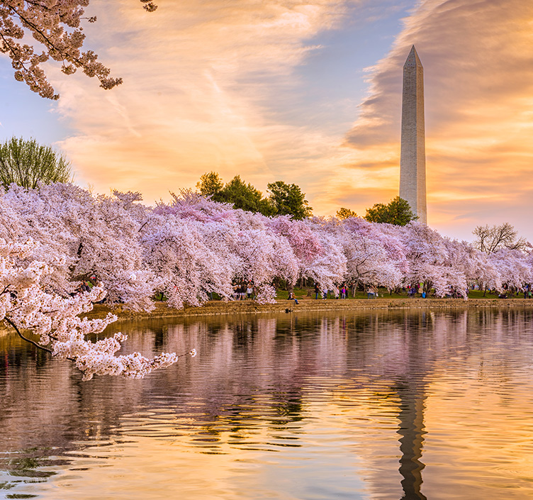 Descubra Washington DC | Lugares de Interés | Big Bus Tours